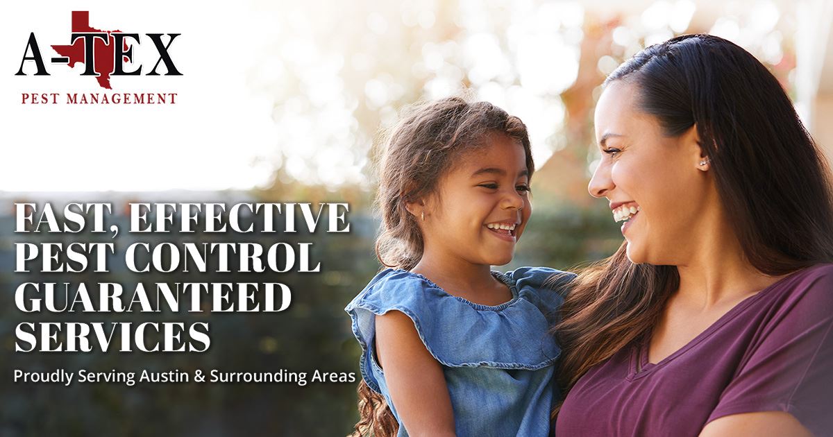 Pest Control in Austin, TX | A-Tex Pest Management