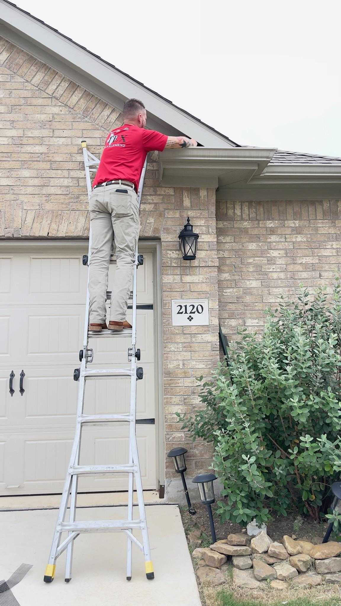 Austin Ant Control | A-Tex Pest Management